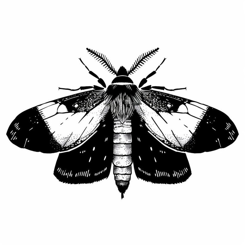 Moth SVG Pack 108 Unique Designs. Moth SVG, Moth JPG, Moth Lasercut ...