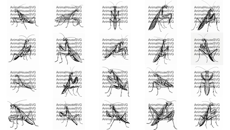 Praying Mantis SVG Bundle: 100 Insect Art Designs (digital Download) - Etsy
