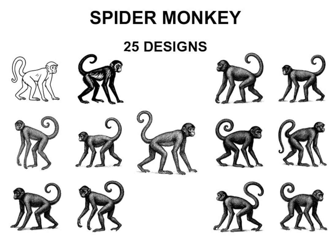 Spider Monkey SVG Bundle: 25 Laser Cut Designs for Cricut, CNC - Etsy