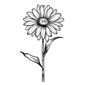 Daisy Flower SVG Pack: 172 Unique Designs (digital Download) - Etsy