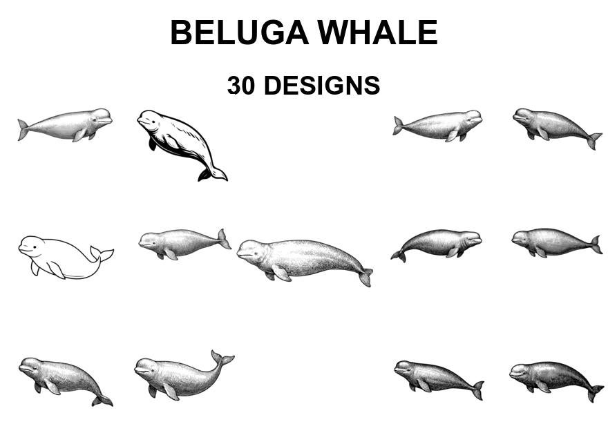 Beluga Whale SVG Bundle: 30 Laser Cut Designs for Cricut, CNC ...
