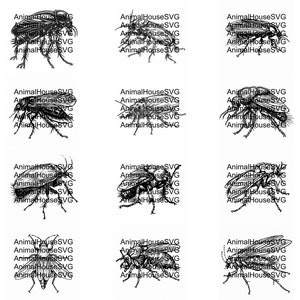 Flea SVG Pack 104 Unique Designs. Flea SVG, Flea JPG, Flea Lasercut ...