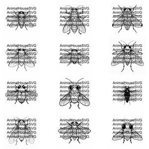 Cute Cicada SVG Pack 96 Unique Designs. Cute Cicada SVG, Cute Cicada ...