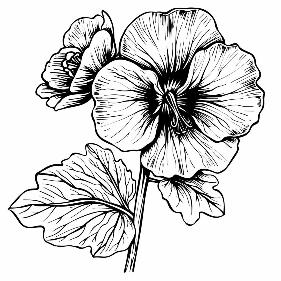 Geranium Flower SVG Pack: 72 Unique Designs (digital Download) - Etsy