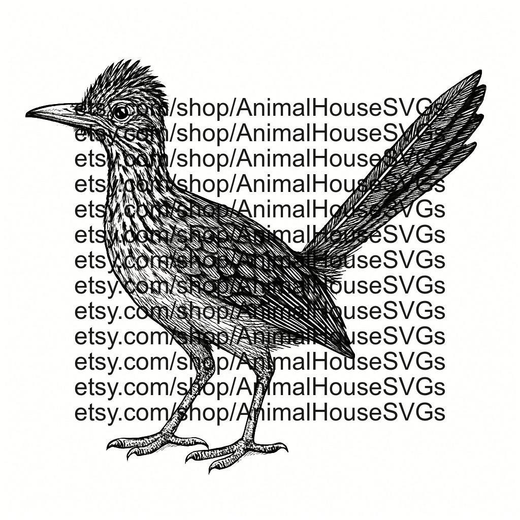 Roadrunner SVG Bundle: 25 Laser Cut Designs for Cricut, CNC ...