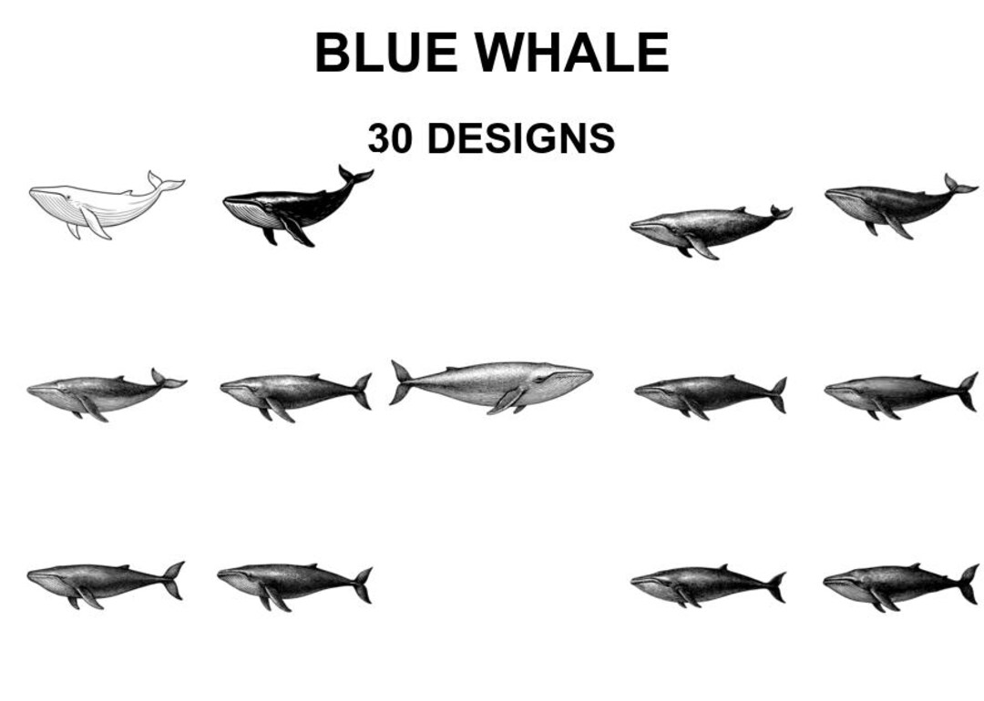 Blue Whale SVG Bundle: Laser Cut Designs for Cricut, CNC, Sublimation ...
