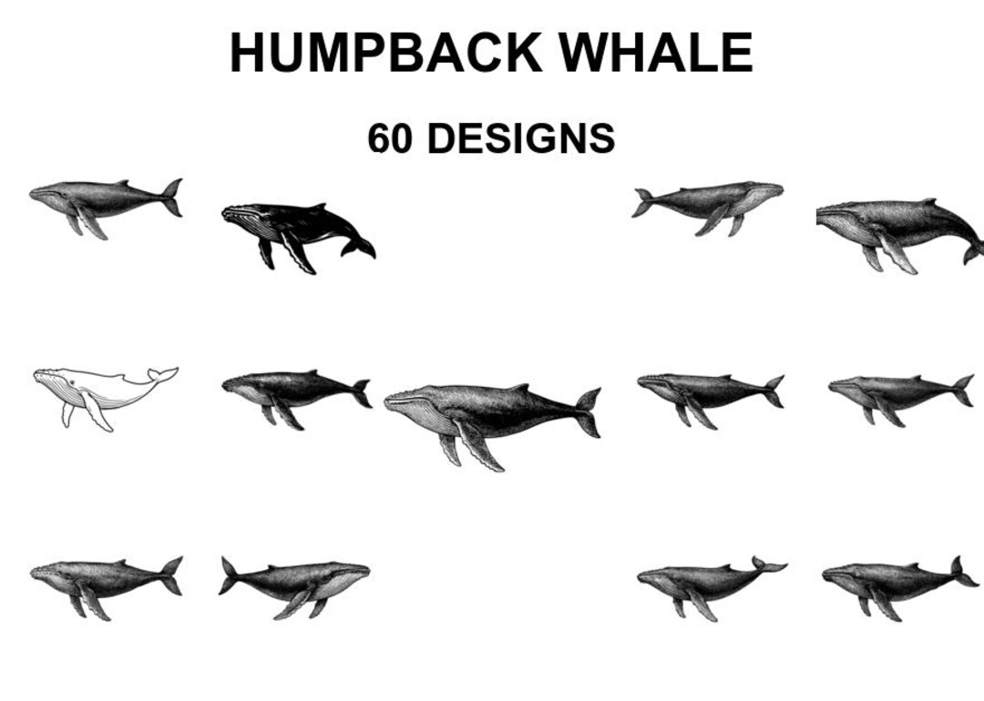 Humpback Whale SVG Bundle: 60 Laser Cut Designs for Cricut, CNC - Etsy
