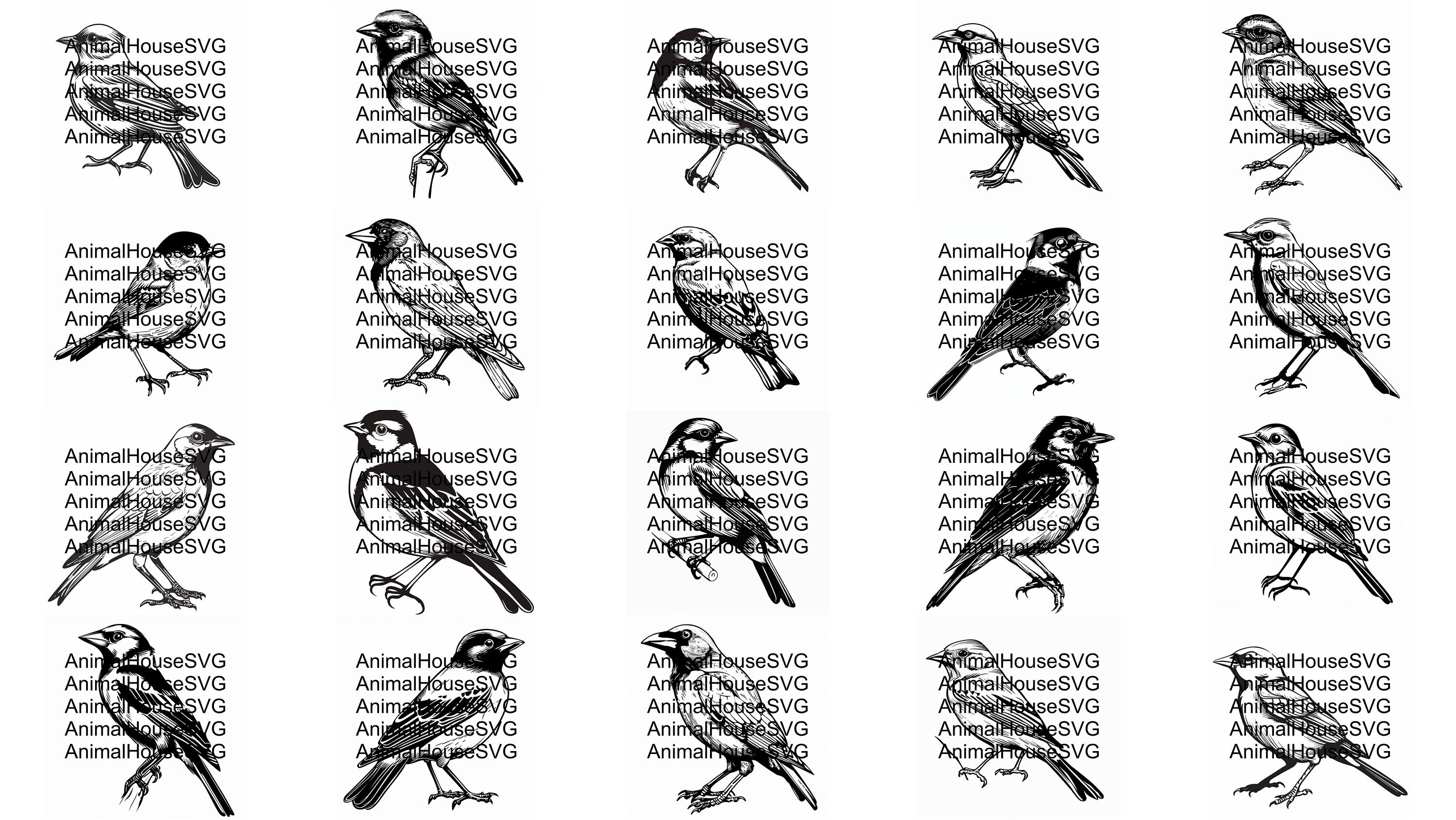 Bird SVG Bundle: 108 Unique Designs (digital Download) - Etsy