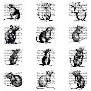 Rat SVG Bundle: 104 Unique Designs for Cricut, CNC (digital Download ...