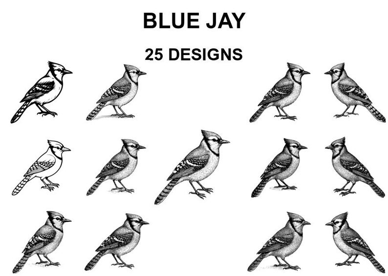 Blue Jay SVG Bundle: 25 Laser Cut Designs for Cricut, CNC, Sublimation ...