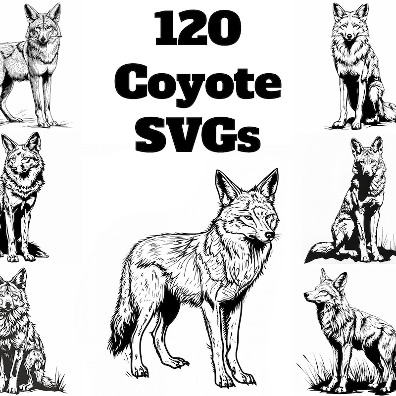 Coyote Skull Printed - Etsy