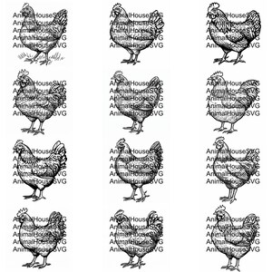 Chicken SVG Bundle: 104 Unique Designs (digital Download) - Etsy