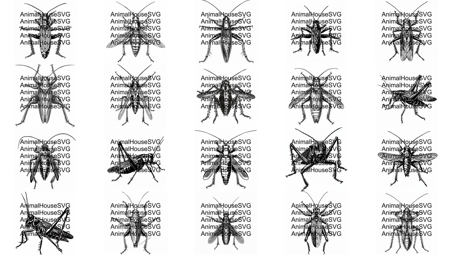 Cricket SVG Pack: 92 Unique Insect Designs (digital Download) - Etsy