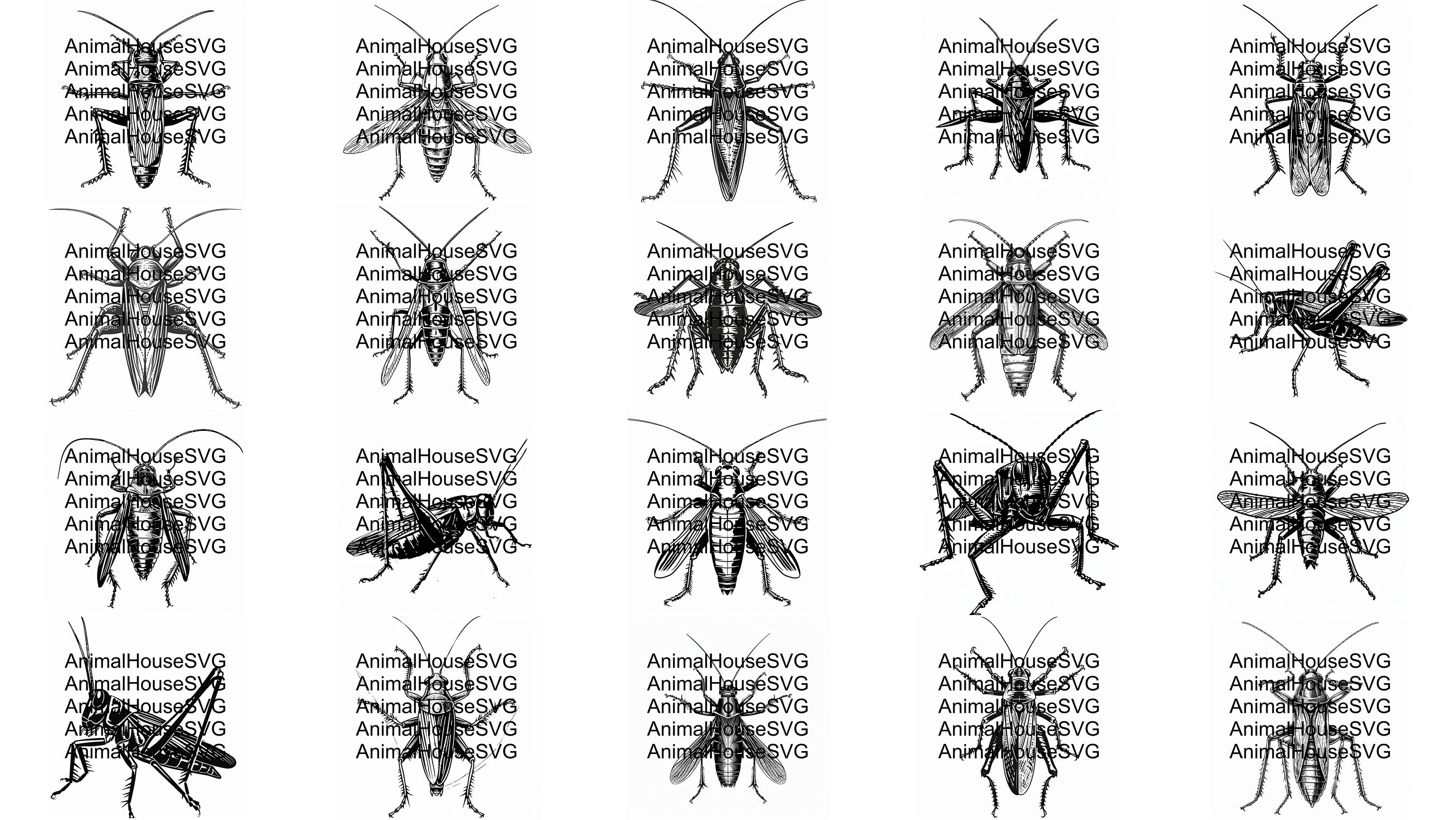 Cricket SVG Pack: 92 Unique Insect Designs (digital Download) - Etsy