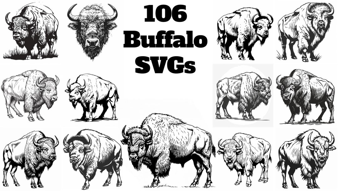 Buffalo SVG Pack 100+ Unique Designs. SVG, JPG, Cricut Svg, Cnc ...