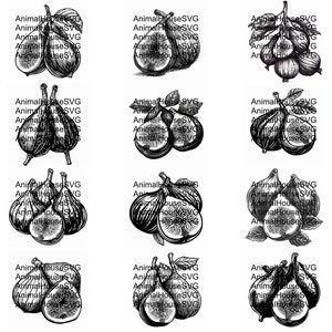 Fig SVG Pack 96 Designs. Fig SVG, Fig, Cricut SVG, Fruit, Lasercut Svg ...