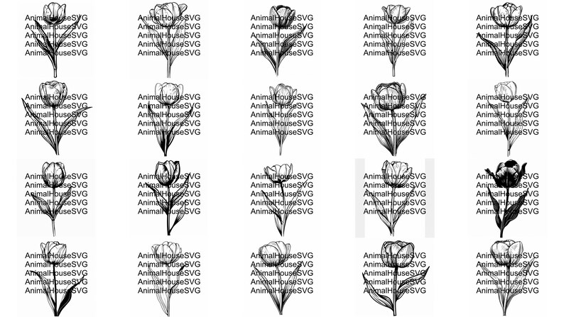 Tulip Flower SVG Pack: 108 Unique Designs (digital Download) - Etsy