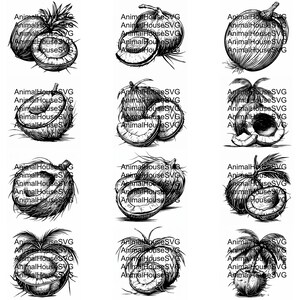 Coconut SVG Pack: 144 Fruit Designs for Cricut & Laser Cutting (digital ...