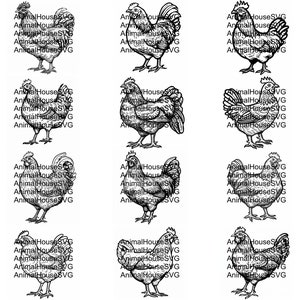 Chicken SVG Bundle: 104 Unique Designs (digital Download) - Etsy