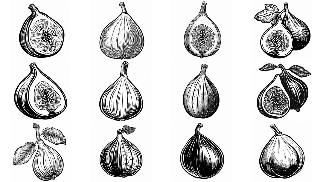 Fig SVG Pack: 96 Fruit Designs for Cricut & Laser Cutting (digital ...
