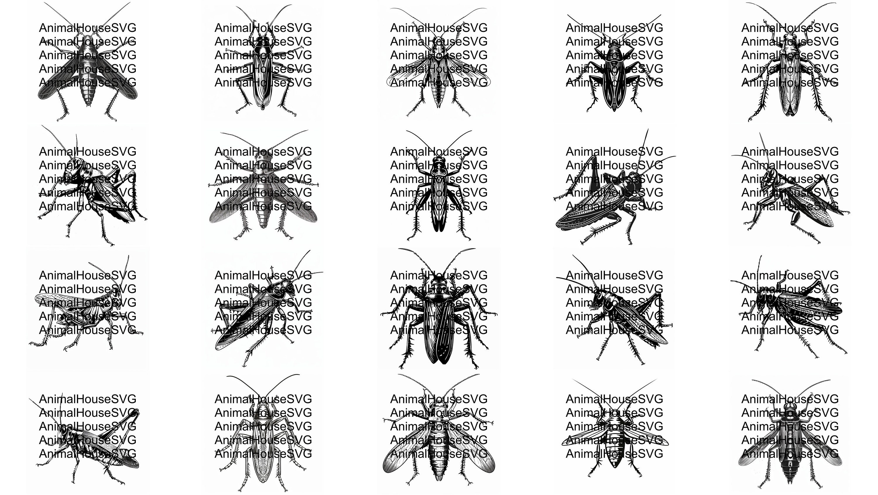 Cricket SVG Pack: 92 Unique Insect Designs (digital Download) - Etsy