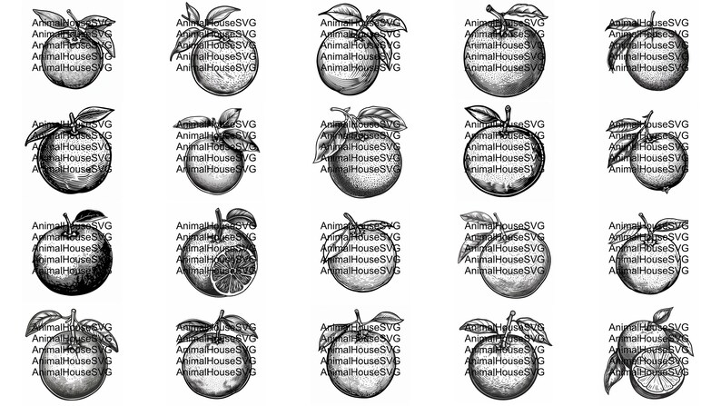 Orange SVG Pack 136 Designs. Orange SVG, Orange, Cricut SVG, Fruit ...