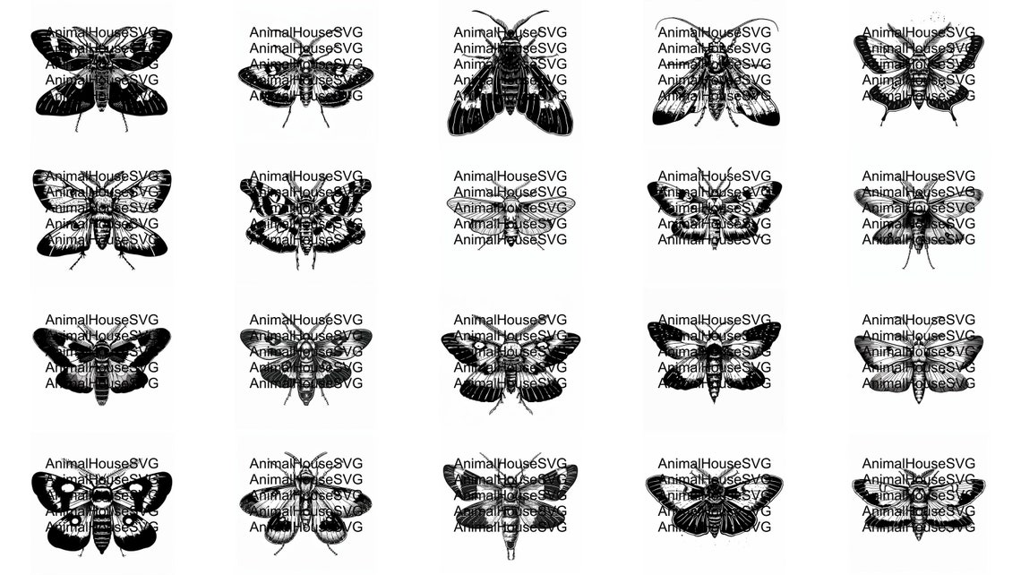 Moth SVG Bundle: 108 Insect Designs (digital Download) - Etsy