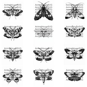 Moth SVG Bundle: 108 Insect Designs (digital Download) - Etsy