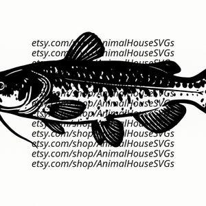 Flathead Catfish SVG Bundle: 25 Laser Cut Designs (digital Download) - Etsy