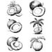 Coconut SVG Pack: 144 Fruit Designs for Cricut & Laser Cutting (digital ...