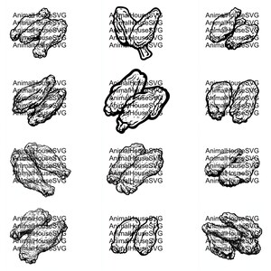 Chicken Wings SVG Pack: 75 Unique Designs (digital Download) - Etsy