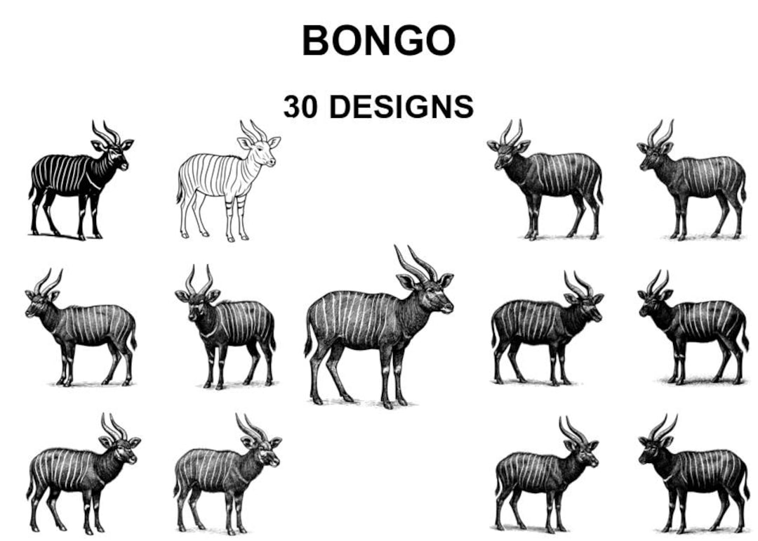 Bongo SVG Bundle: 30 Laser Cut Designs for Cricut, CNC, Glowforge - Etsy