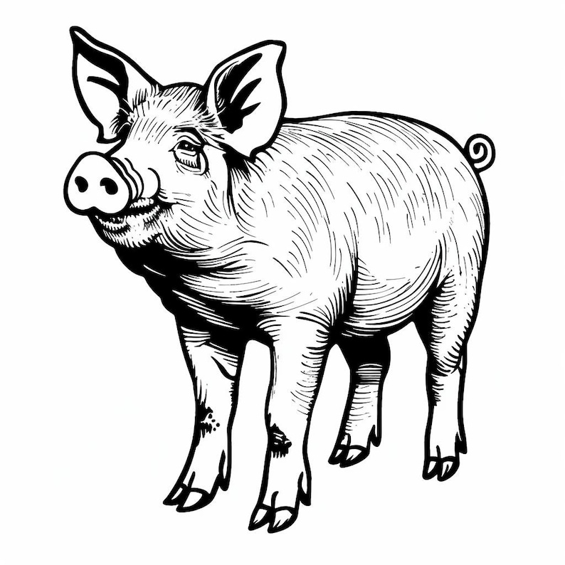 Pig SVG Pack 100+ Unique Designs. SVG, JPG, Cricut Svg, Cnc, Lasercut ...