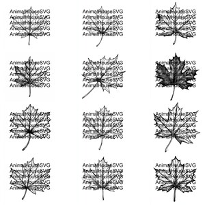 Maple Leaf SVG Pack 120 Designs. Maple Leaf SVG, Maple Leaf PNG, Laser ...