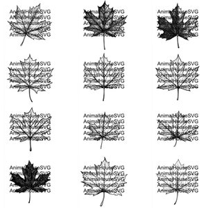 Maple Leaf SVG Pack 120 Designs. Maple Leaf SVG, Maple Leaf PNG, Laser ...