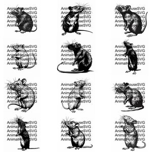 Rat SVG Bundle: 104 Unique Designs for Cricut, CNC (digital Download ...