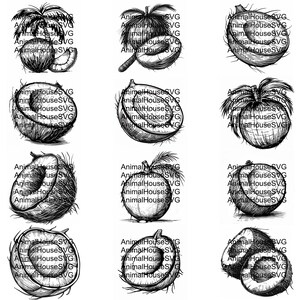 Coconut SVG Pack: 144 Fruit Designs for Cricut & Laser Cutting (digital ...