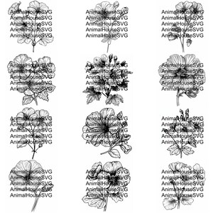 Geranium Flower SVG Pack: 72 Unique Designs (digital Download) - Etsy