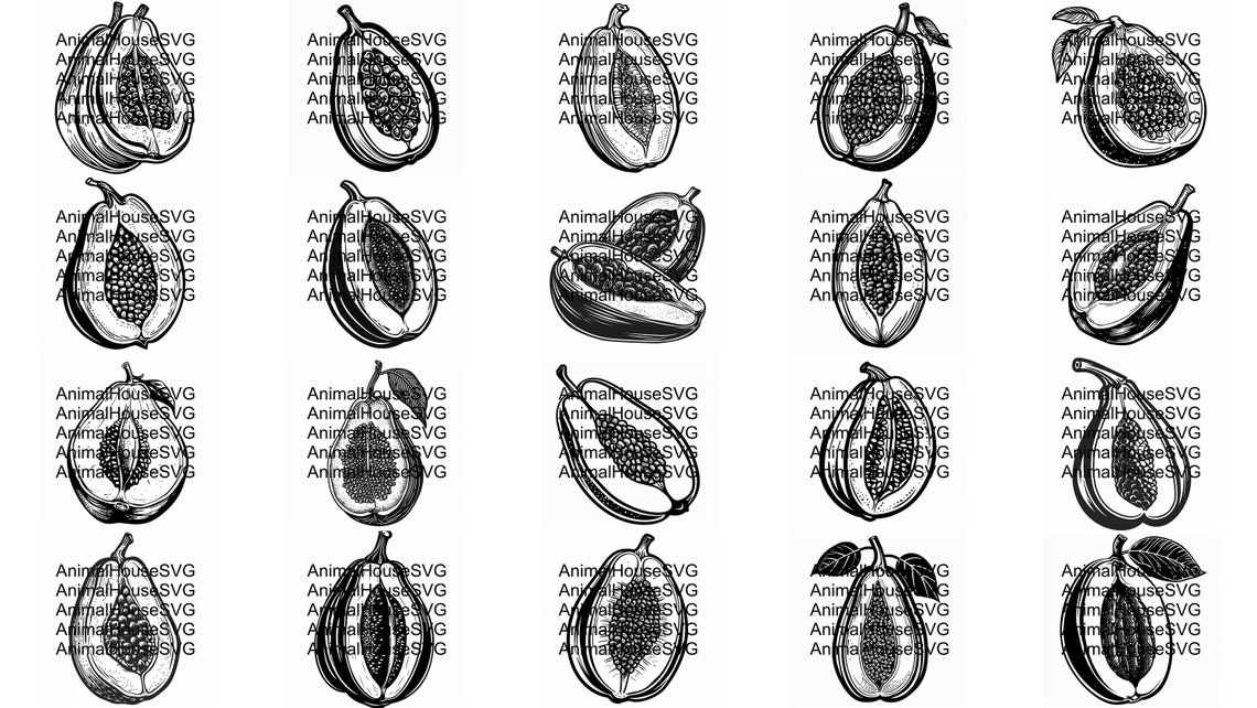 Papaya SVG Pack 136 Designs. Papaya SVG, Papaya, Cricut SVG, Fruit ...