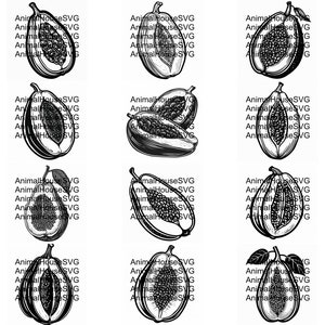 Papaya SVG Pack 136 Designs. Papaya SVG, Papaya, Cricut SVG, Fruit ...