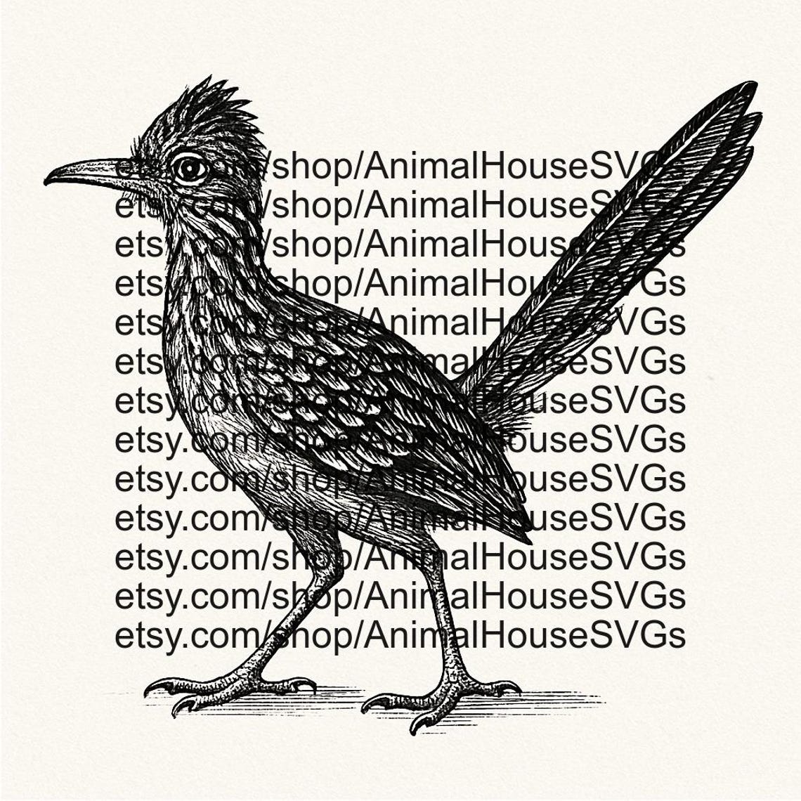 Roadrunner SVG Bundle: 25 Laser Cut Designs for Cricut, CNC ...