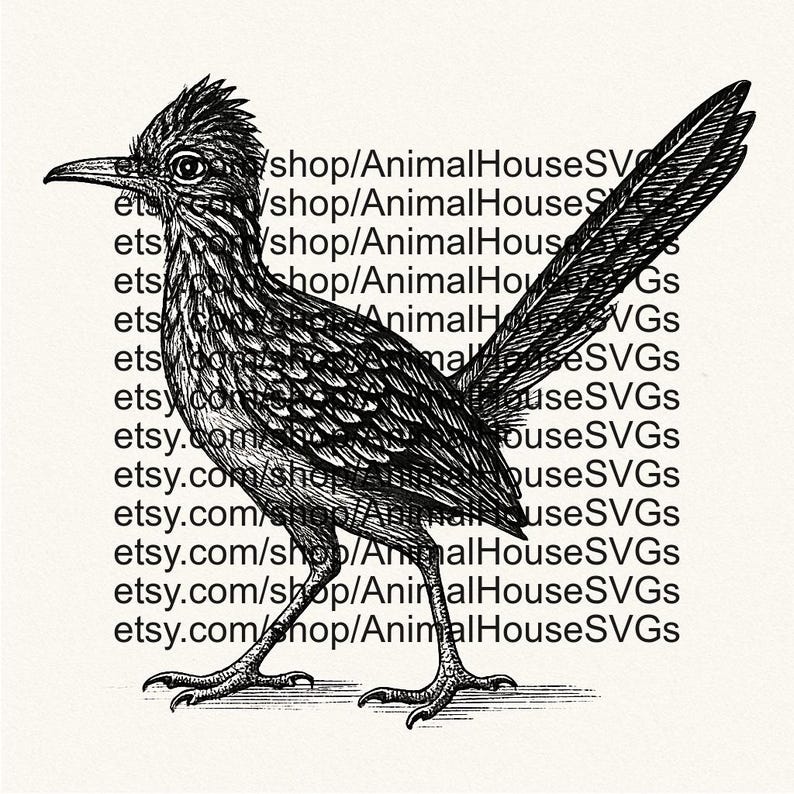 Roadrunner SVG Bundle: 25 Laser Cut Designs for Cricut, CNC ...