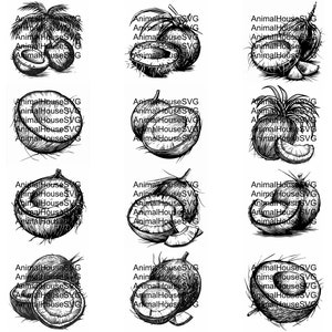 Coconut SVG Pack: 144 Fruit Designs for Cricut & Laser Cutting (digital ...