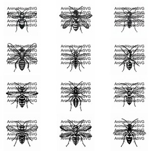 Wasp SVG Bundle: 103 Insect Designs (digital Download) - Etsy