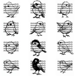 Cute Birds SVG Pack 169 Unique Designs. SVG, JPG,, Cricut Svg, Cnc ...