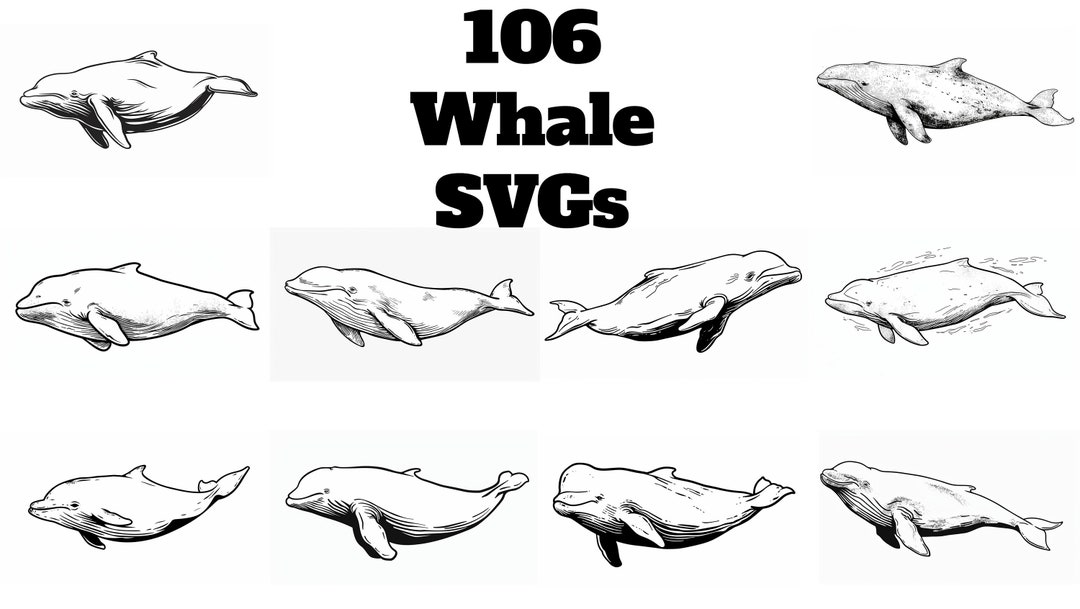 Whale SVG Bundle: 106 Unique Designs (digital Download) - Etsy