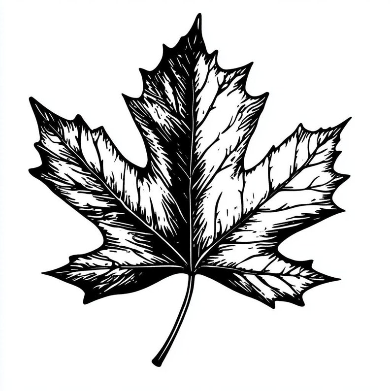 Maple Leaf SVG Pack 120 Designs. Maple Leaf SVG, Maple Leaf PNG, Laser ...