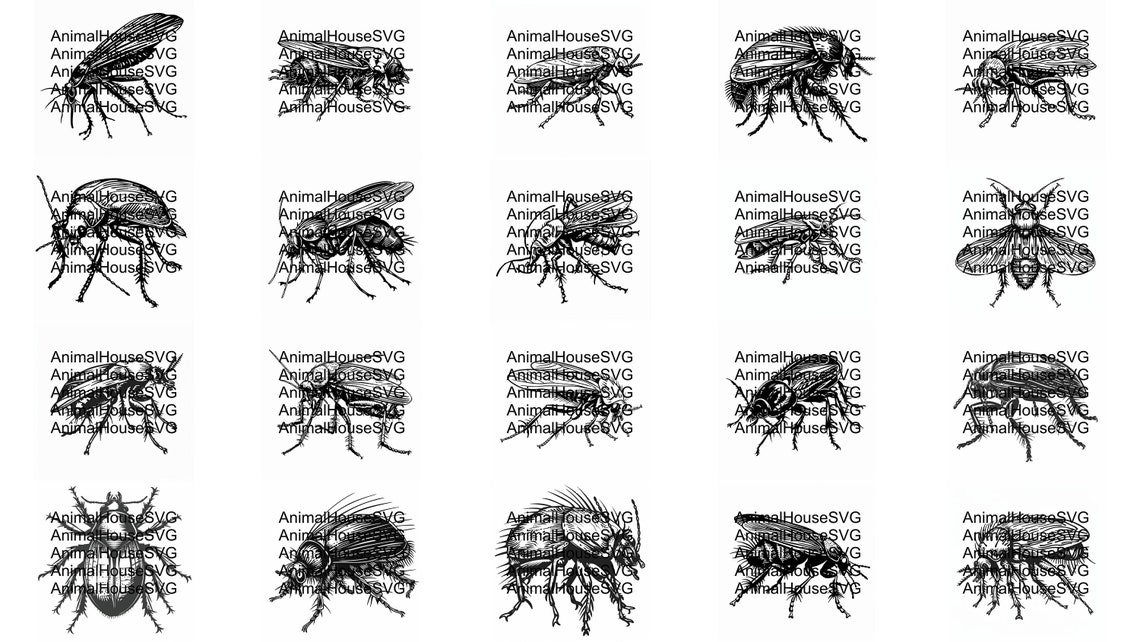 Flea SVG Pack 104 Unique Designs. Flea SVG, Flea JPG, Flea Lasercut ...