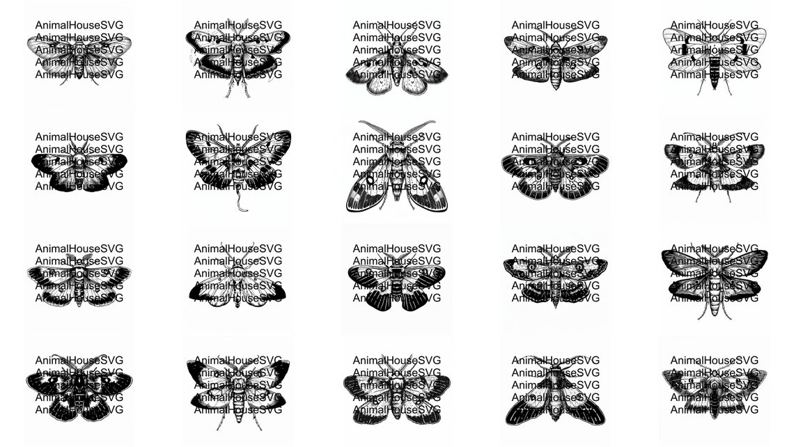 Moth SVG Bundle: 108 Insect Designs (digital Download) - Etsy