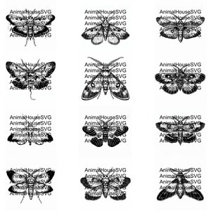 Moth SVG Bundle: 108 Insect Designs (digital Download) - Etsy